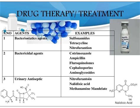 Urinary Tract Anti Infective Agentspdf Quinoline Drugs Pdf
