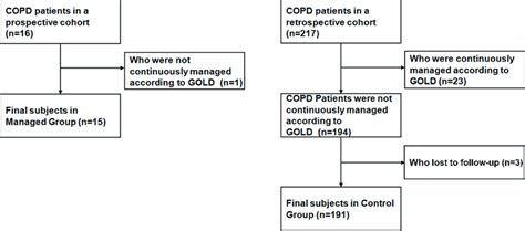 Population Flow Chart Download Scientific Diagram