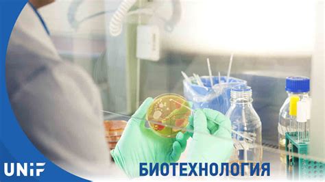 Магистратура по программе «Биотехнология университет Аалто Unif Pro