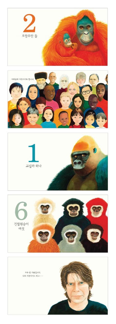 고릴라 가족 앤서니 브라운 교보문고