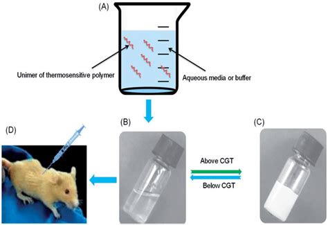 Schematic Representation Of Thermosensitive Gel Formation And Download Scientific Diagram
