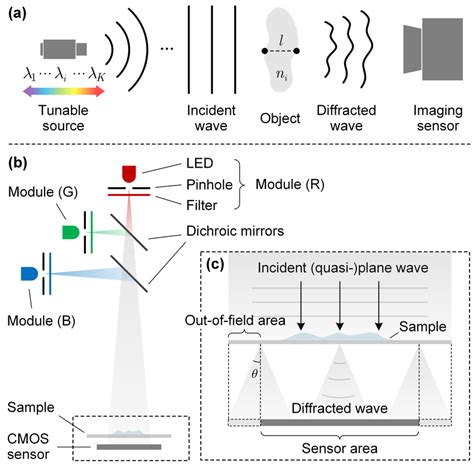 A Schematic Of A Multi Wavelength In Line Holographic Imaging System