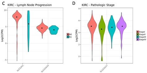 Slc22 Gene Expression By Class For Pathologic Variables In Kirc A