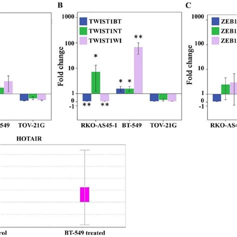 Immunofluorescence Analysis Of The Mesenchymal Marker Fibronectin Download Scientific Diagram