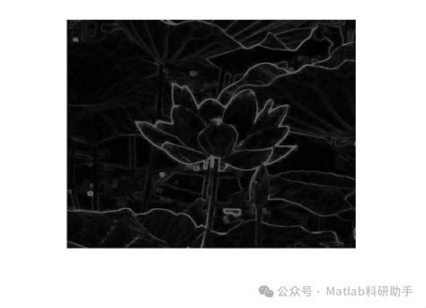 【图像处理】图像的边缘检测附matlab代码 图像处理中边缘有几种类型 csdn博客