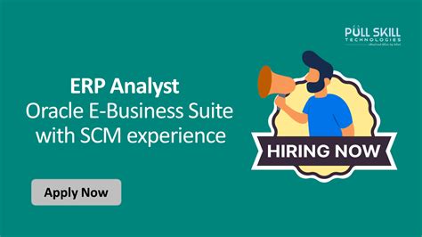 Oracle E Business Suite Analyst Independent Candidate