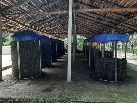 Eranga Abeywickrama On Linkedin Future Sustainable