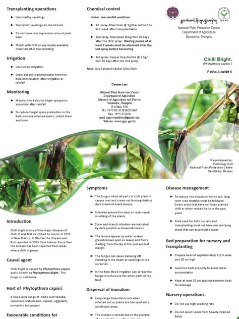 Transplanting Operations Chemical Control Chilli Blight Pdf Branches Of Botany Organisms
