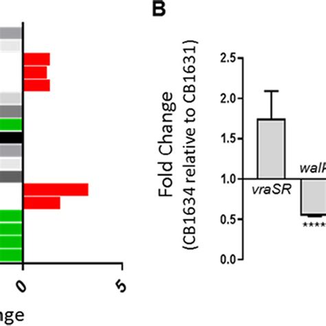 Gene Expression Analysis A Rna Seq Expression Analysis Comparing