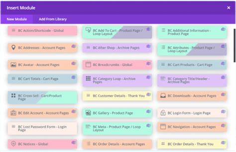 Divi Plugin Highlight Divi BodyCommerce