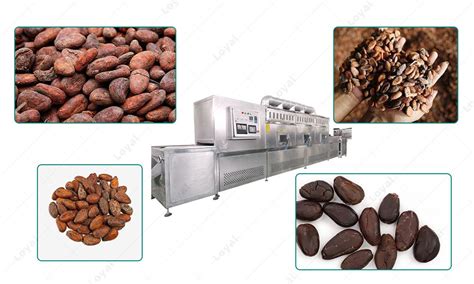 Industrial Microwave Cocoa Beans Drying Technology Shandong Loyal Industrial Coltd