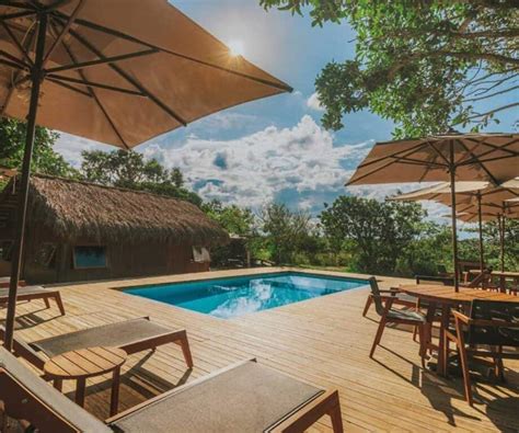 Top 5 Off The Beaten Track Wildlife Experiences In Latin America Movolio