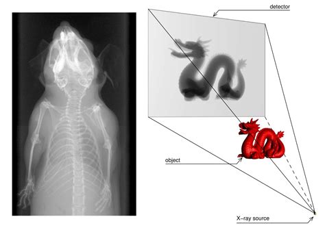 Introduction — X Ray Imaging Physics Instrumentation And Applications