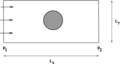 one unit shell in a vertically infinite array of cylinders l x and l y