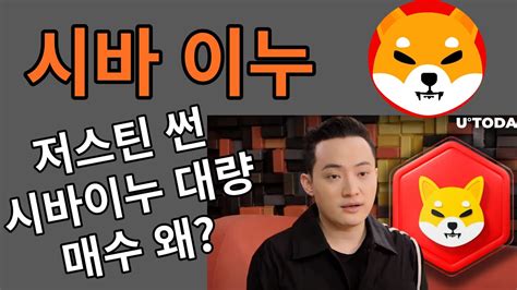 트론 저스틴 썬 시바이누 대량 매수 바이낸스로 출금 그 이유는 시즌2 시작 Youtube