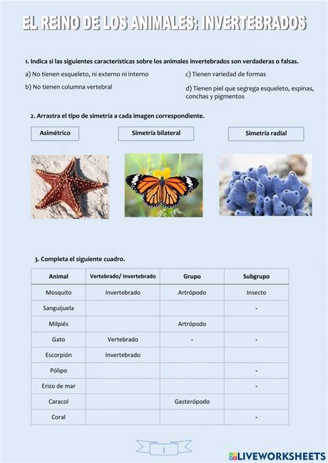 Tema 7 Los Animales Invertebrados Worksheet Live Worksheets