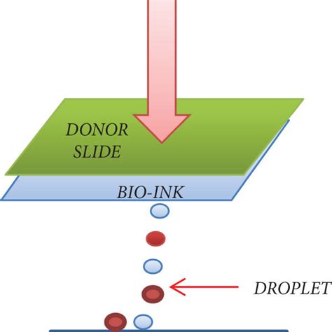 Bioprinting Methods A Extrusion Based B Inkjet Based C