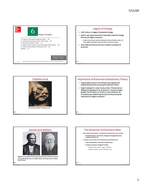 Part Two Ch 6a Pdf Evolution Homology Biology