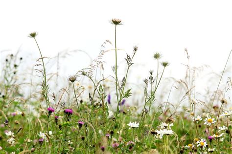 Functional Ceramics Aesthete