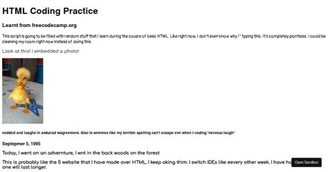 HTML Coding Practice Codesandbox