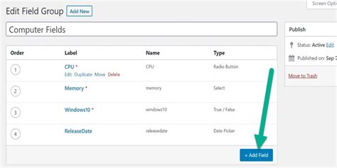 How To Display Custom Fields On WooCommerce Product Page