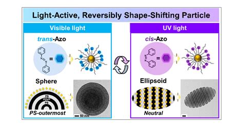 Light Active Reversibly Shape Shifting Block Copolymer Particles Using Photo Switchable Au