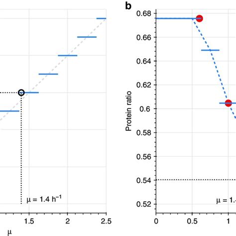 Discretization Example For Specific Growth Rate And Growth Dependent