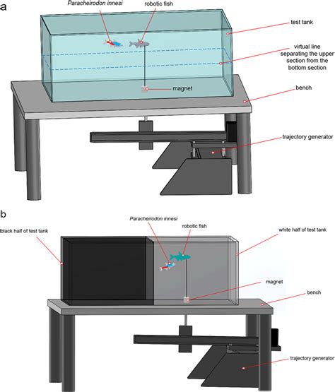 Schematic Representations Depicting The Experiment 1 A And The
