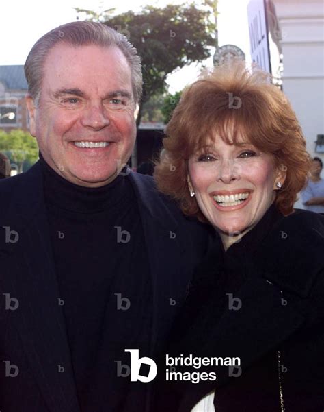 Jill St John Today