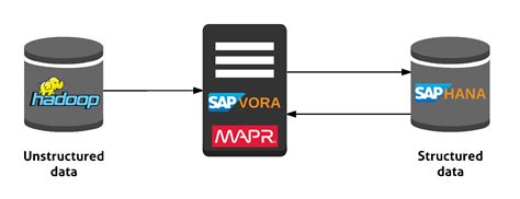Bridge The Big Data Gap With Sap Hana Vora