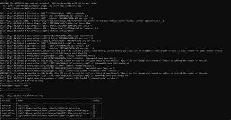 Trition Exiting After Every Batch Inference On Cpu Triton Inference Server Archived Nvidia