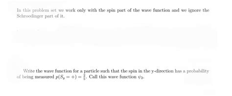 Solved In This Problem Set We Work Only With The Spin Part Chegg