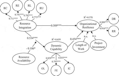 Full Article Effect Of Resource Integration On Organizational Resilience Of Megaprojects Role