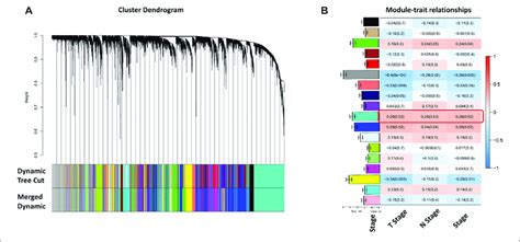 Identification Of Tumor Related Gene Modules A Cluster Dendrogram