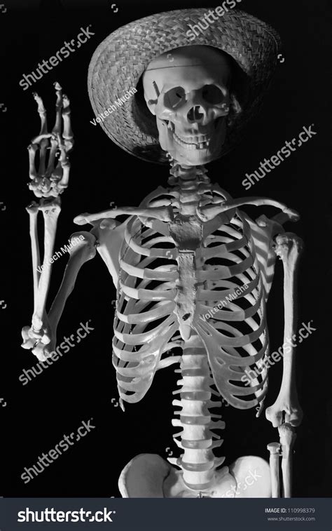 Naked Scout Skeleton Stock Photo Shutterstock