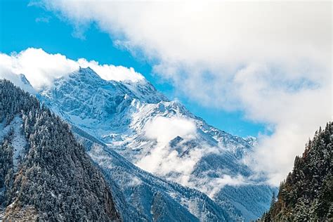 대설 배경 일러스트 대설 사진 및 배경 화면 무료 다운로드 Pngtree