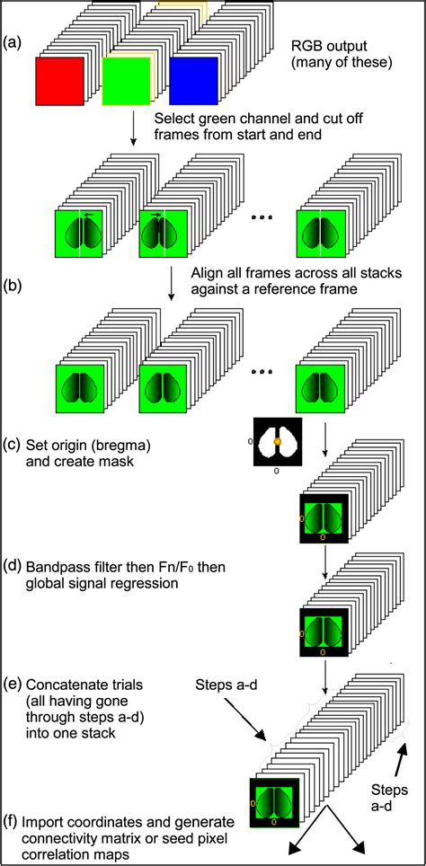 Mesoscale Brain Explorer A Flexible Python Based Image Analysis And