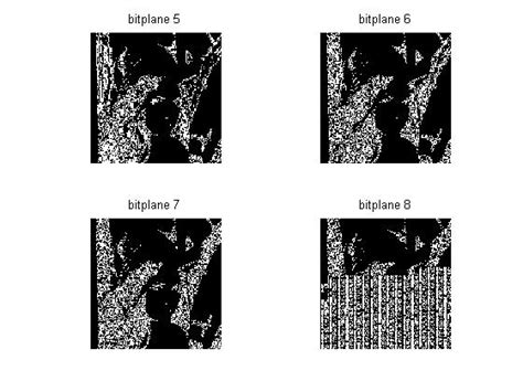 The Bit Plane Formed While Extraction Download Scientific Diagram