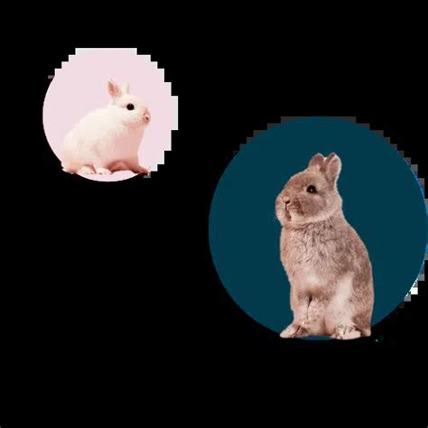 Oneflow Ai Contract Intelligence Powered By Oneflow