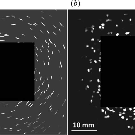 Comparison Of Grain Maps A A Virtual Input Grain Structure In A Download Scientific Diagram