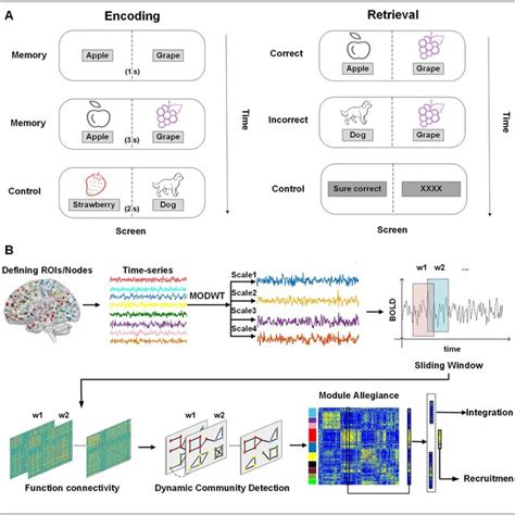 Task Paradigm Design And Experimental Procedure A Example Trials For Download Scientific