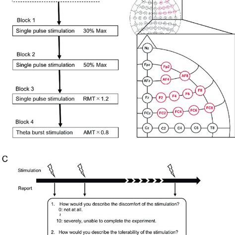 Experimental Protocols Of The TMS Study A Four TMS Stimulation Download Scientific Diagram