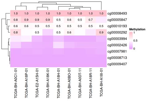 Complexheatmap A Biomedical Visualization Atlas Complexheatmap A Biomedical Visualization Atlas