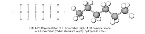 Hydrocarbons And Alkanes Questions And Revision Mm