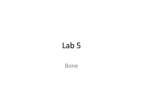 Lab 5 Slides Ppt