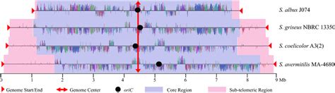 multiple genome alignment and genome structure comparative analysis of