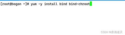 Linux下配置bind与bind Chroot服务 Csdn博客