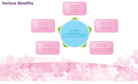 Highly Absorbable Collagen Peptide Powder Drink Marine Health