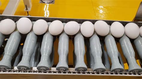 Conveyors Process Integration Inc