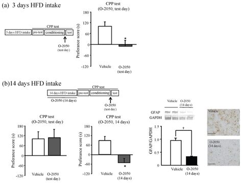 A Mice Were Given Hfd For 3 Days Before Cpp Test O 2050 10 Mg Kg